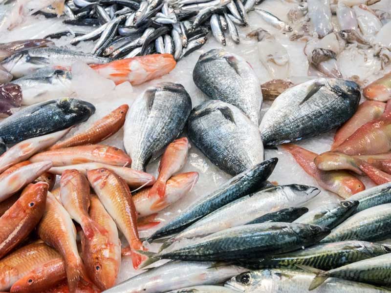 Cuidados a la hora de comprar pescado | Angie Bessone - Nutricionista